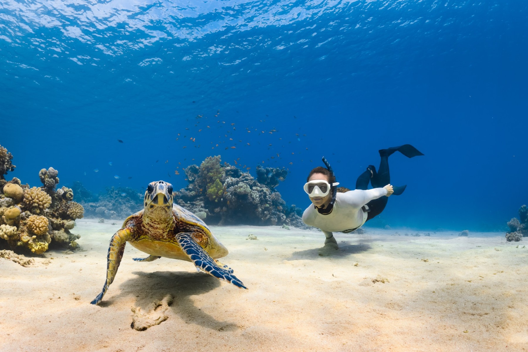 Beginners Scuba Diving - White Olive Hotels Greece